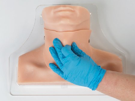 Life/Form - Cricothyrotomy Simulator Life/form Adlut / Child - LF00994 ...