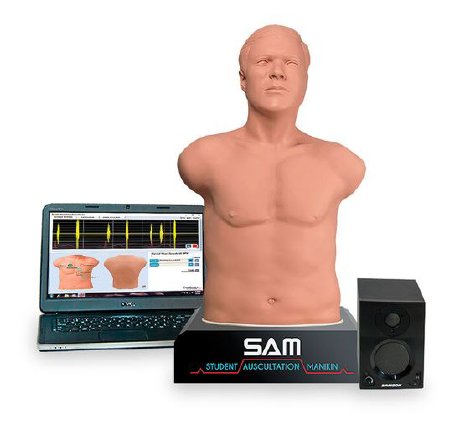 Sam 3G - The Student Auscultation Manikin Light Male - NZ10305 ...
