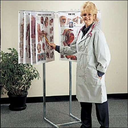 Anatomical Chart Company Floor Display Stand - FDU2 — Serfinity Medical